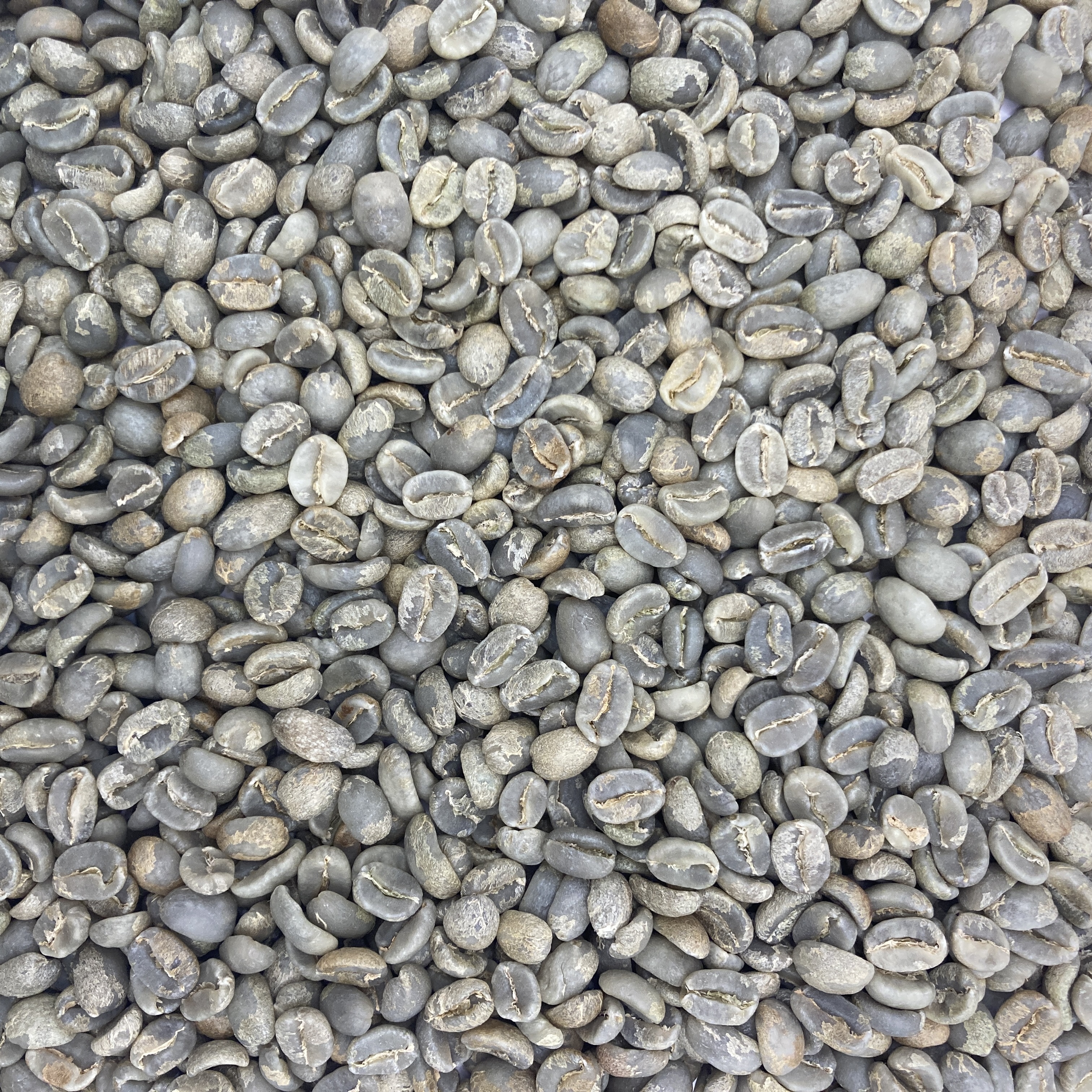 Guatemala: Geisha Honey SHB EP, San Marcos